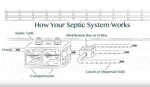 Frequently Asked Septic System Questions